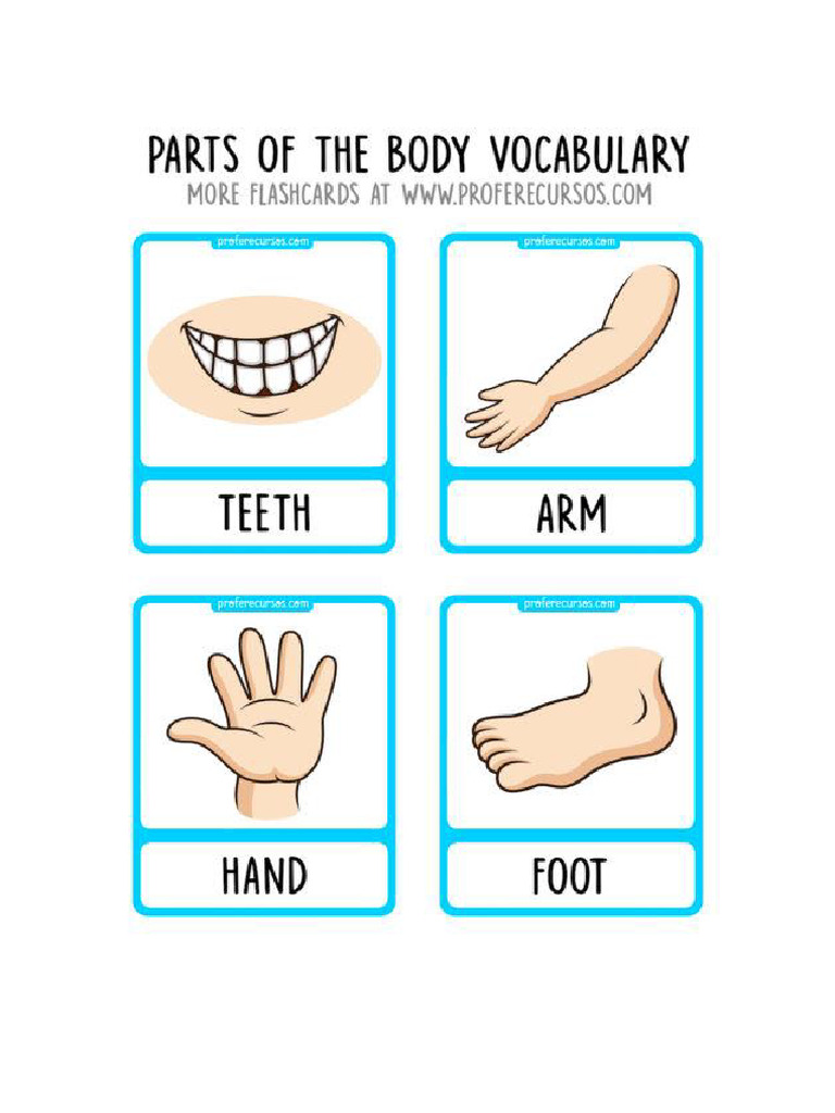 Matching Body Part | PDF