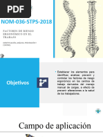 Norma Oficial Mexicana Nom-036-1-Stps-2018 | PDF | Factores humanos y ...