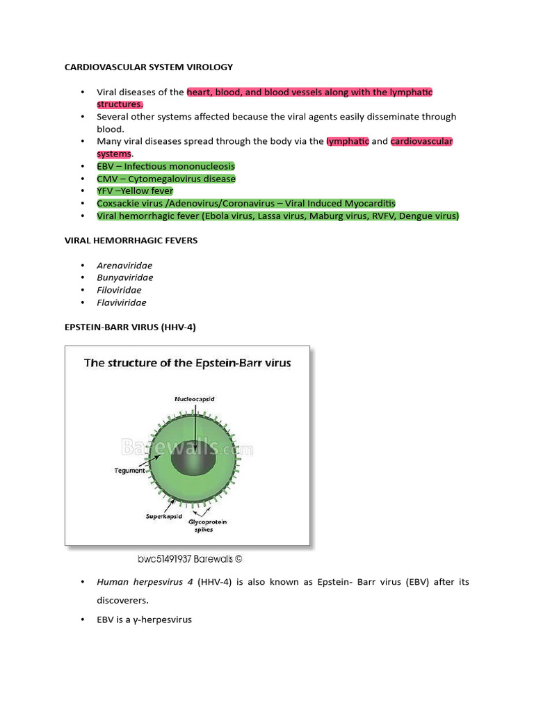 Cardiovascular System Virology | PDF | Lymphoma | Virology