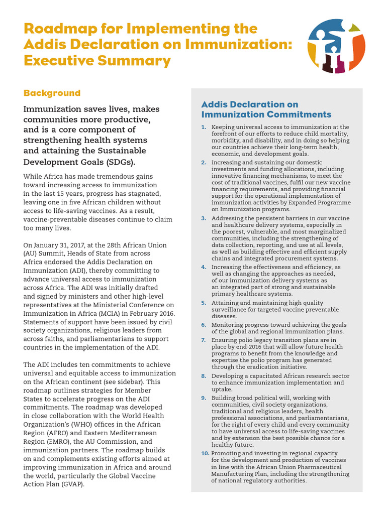 ADI Roadmap Executive Summary - English | PDF | World Health ...