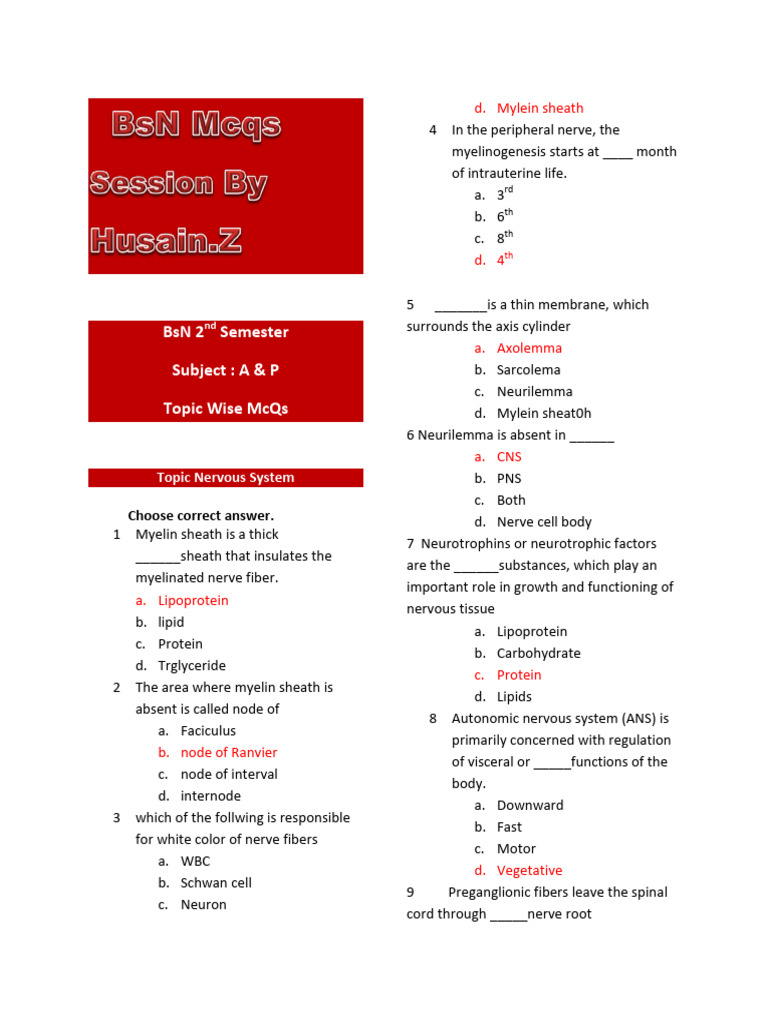Nervous System Mcqs YT Insta Medico Slides | PDF | Neuron | Chemical ...