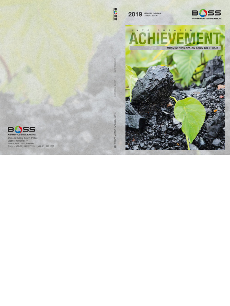 BOSS Annual Report 2019 | PDF | Equity (Finance) | Income