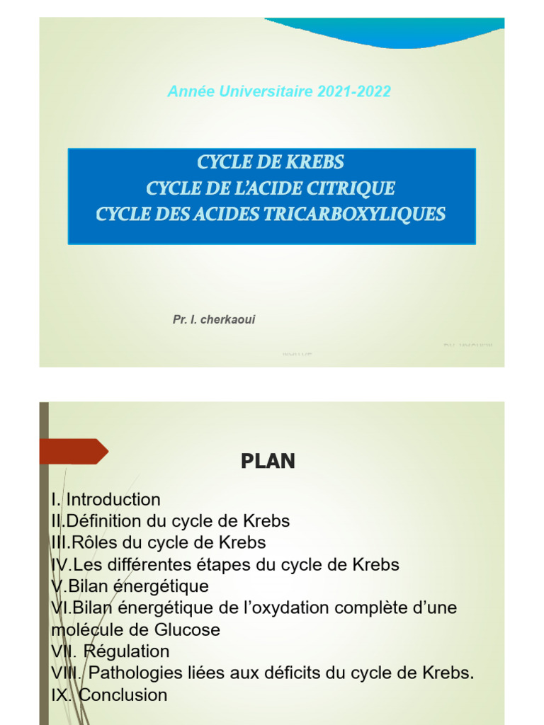 Comprendre le cycle de Krebs | PDF | Régime et nutrition | Chimie