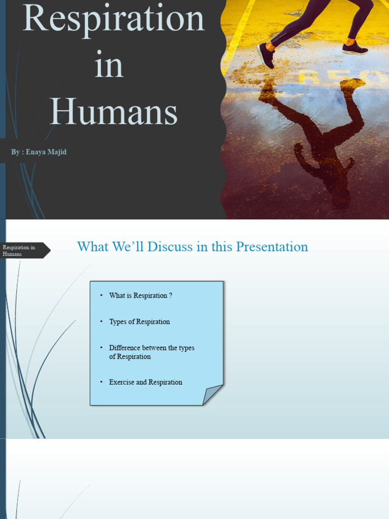 Human Respiration Explained: Types & Effects | PDF | Cellular ...