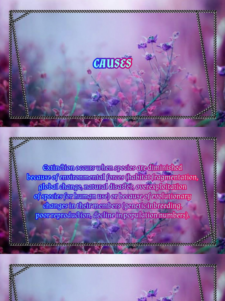 Biodiversity and Evolution Part 2 | PDF