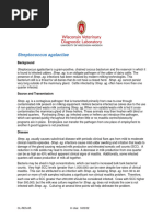 Understanding the Two-Hit Hypothesis | PDF | Tumor Suppressor Gene | Cancer
