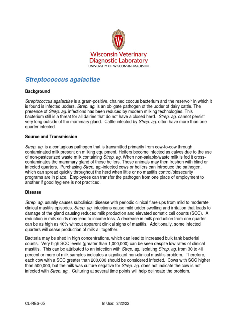 Managing Streptococcus agalactiae in Dairy Cattle | PDF | Infection ...