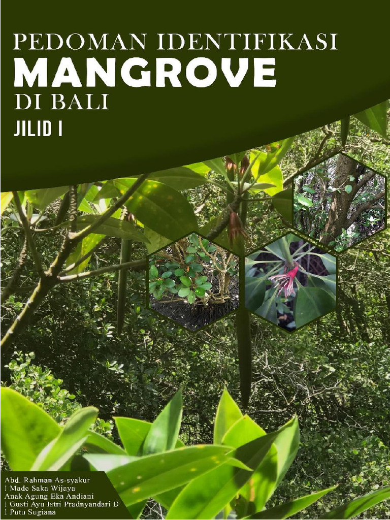 BUKU IDENTIFIKASI MANGROVE TERBARU - Gambar | PDF | Sains & Matematika