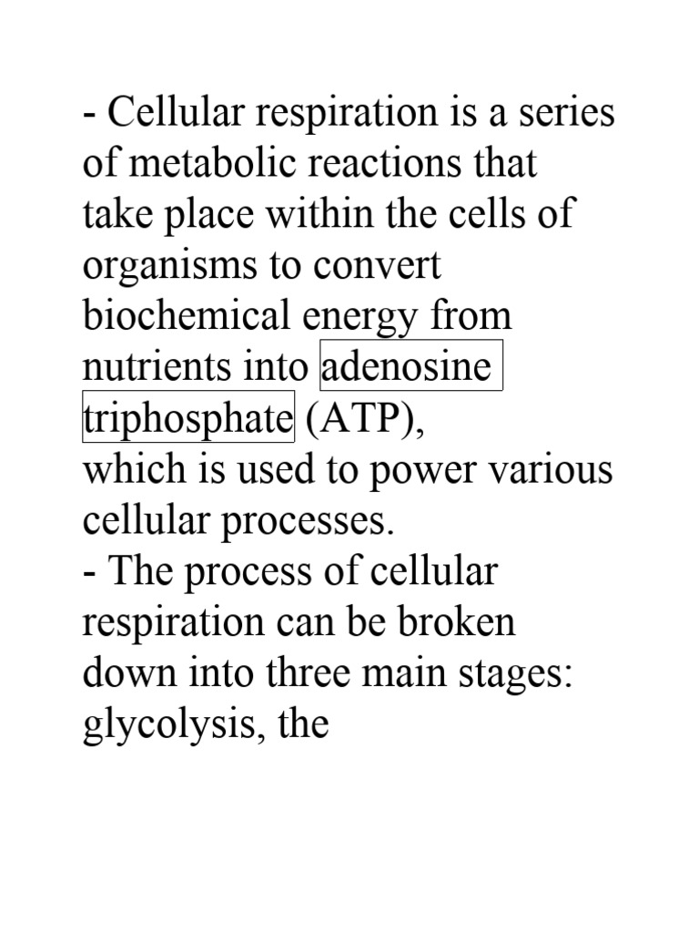 Cellular Respiration Is A Series of Metabolic Reactions That Take Place ...