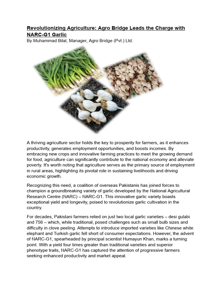 NARC-G1 Garlic: Agro Bridge's Revolution | PDF | Business | Science ...