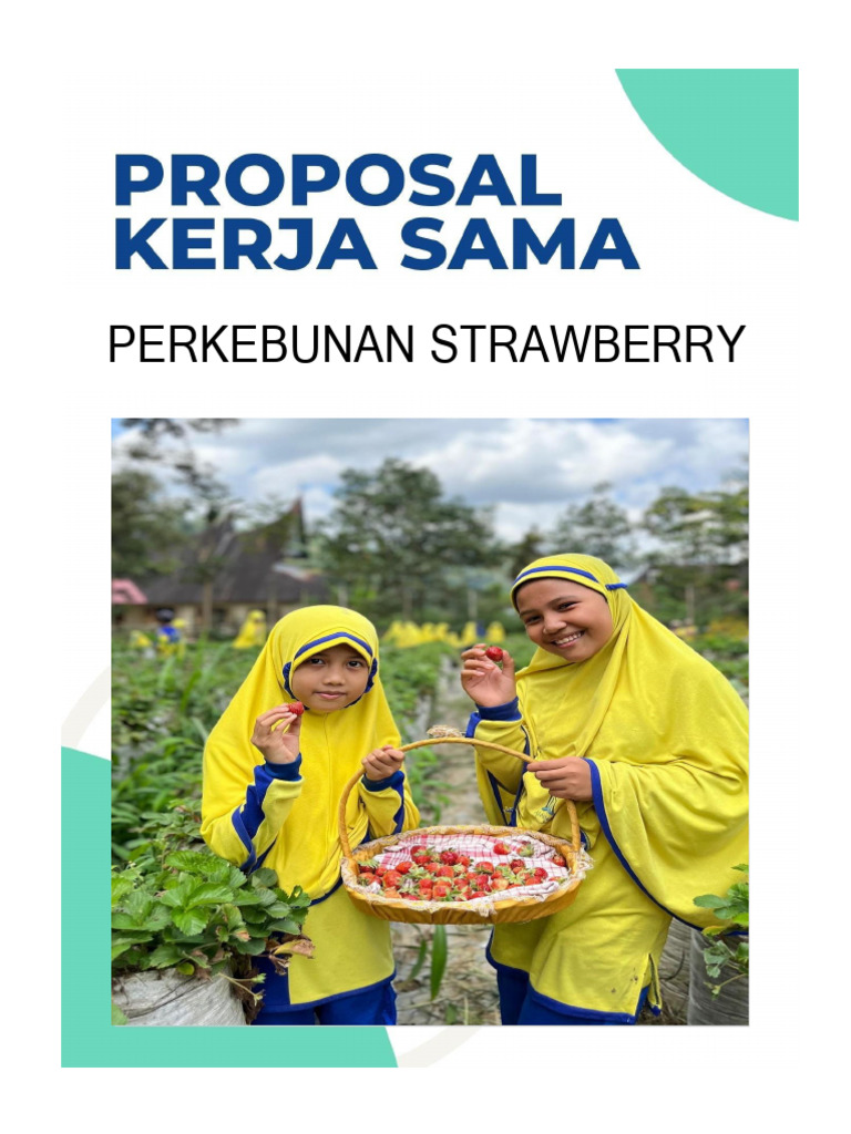 Proposal Perkebunan Strawberry | PDF