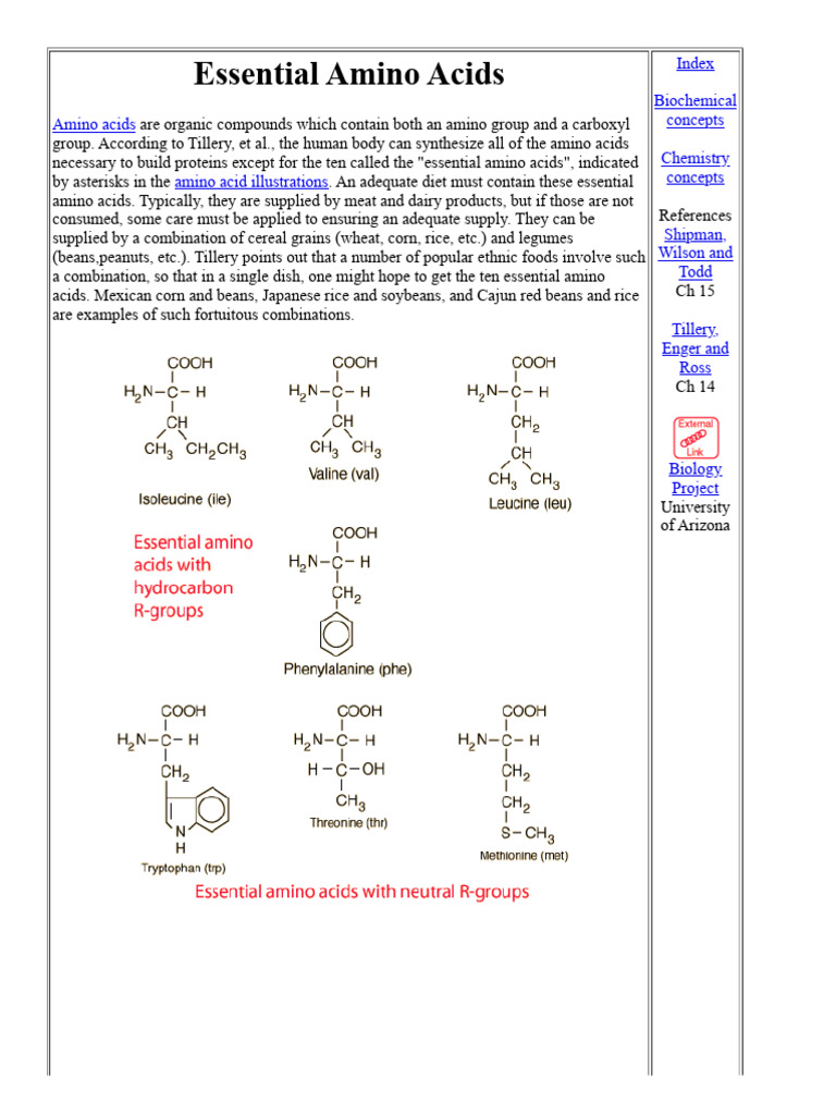 Essential Amino Acids | PDF | Amino Acid | Biosynthesis