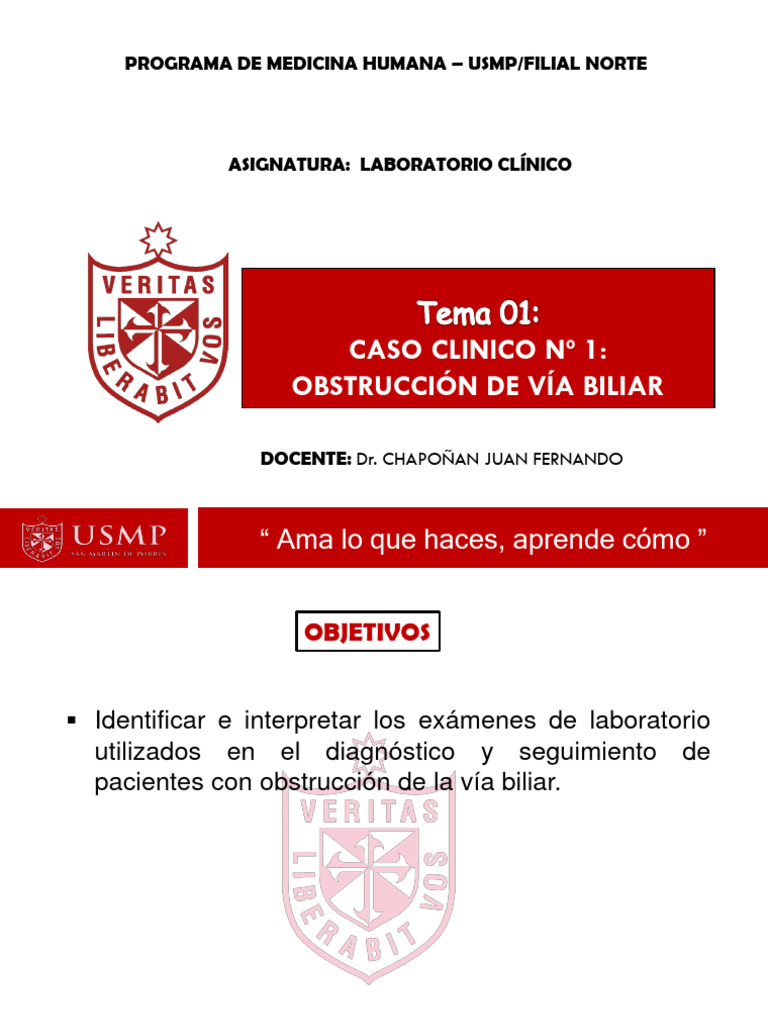 Obstrucción Biliar - Lab Epo22. | PDF | Bilis | Sistema exocrino