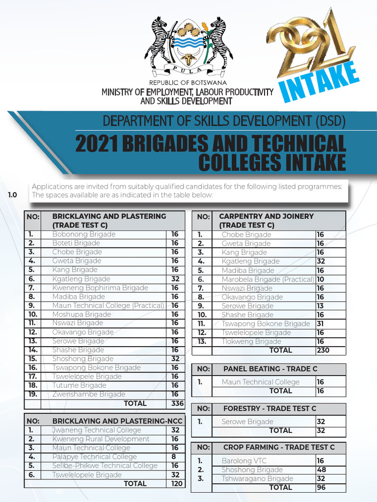 Brigades 2021 Intake | PDF