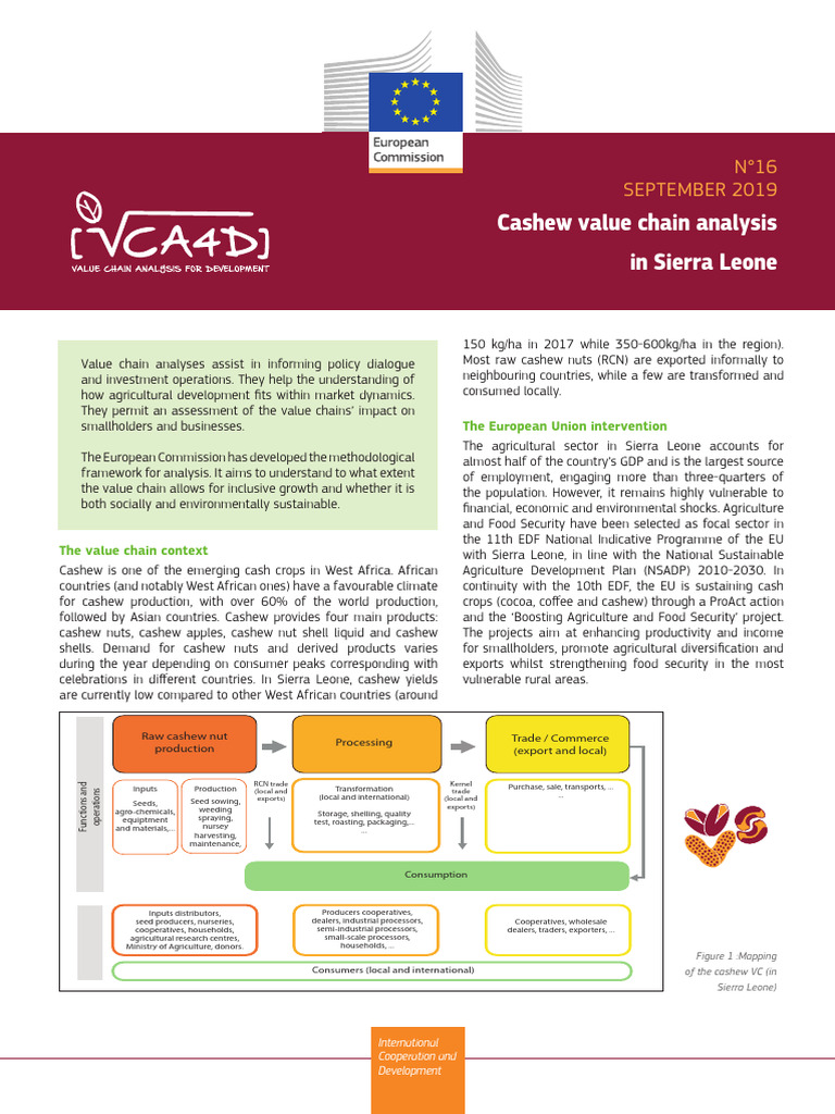 Cashew Value Chain Analysis in Sierra Leone | PDF | Smallholding ...