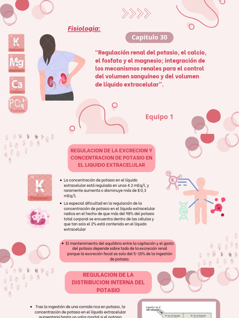 Presentación Fisiologia Capitulo 30 Guyton y Hall | PDF | Potasio | Química