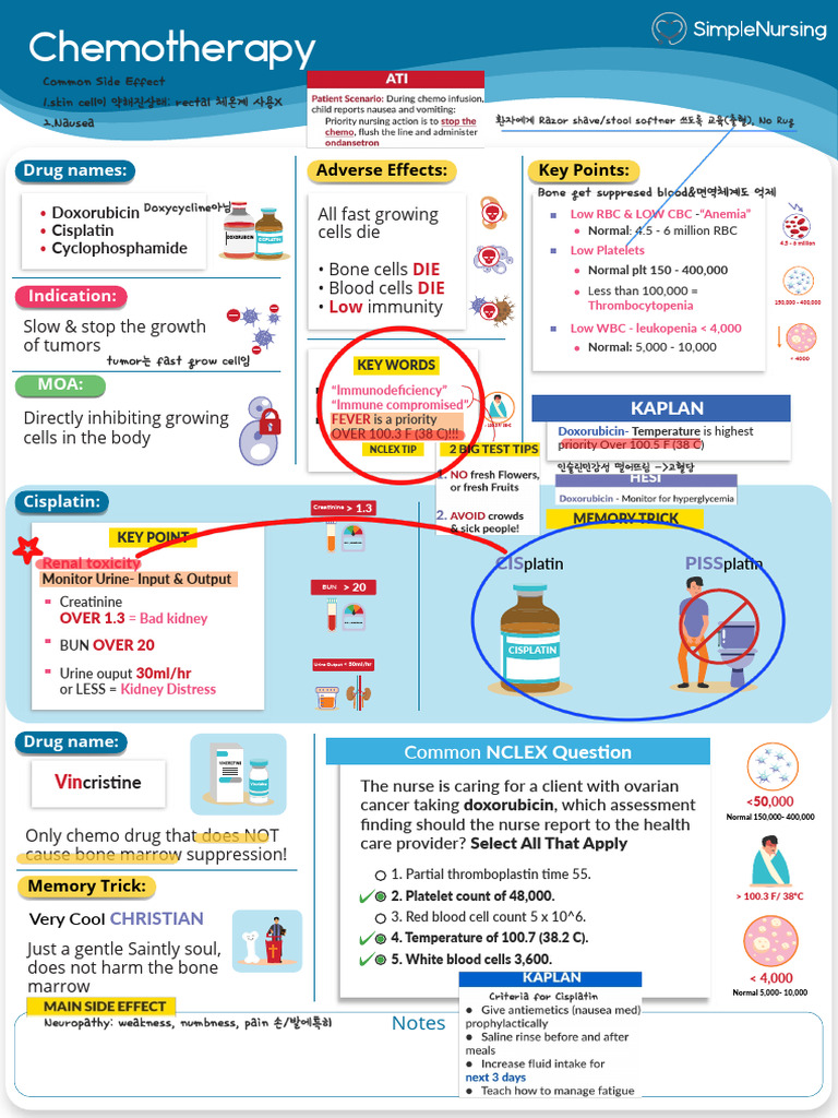 Chemotherapy - 221127 - 002736 | PDF | Chemotherapy | Blood Cell