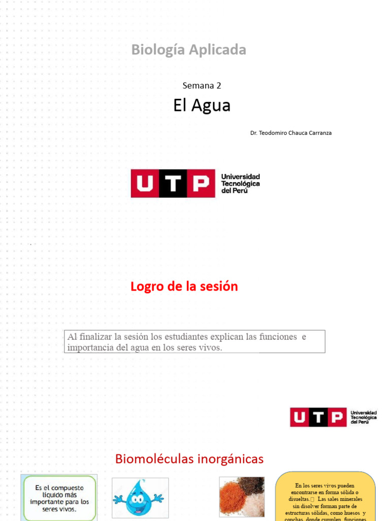 Biologia S02 s1 Moleculas Inorganicas | PDF | Propiedades del agua | Agua