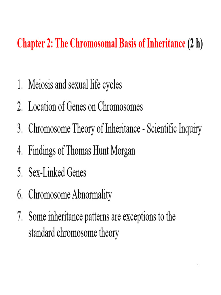 The Chromosomal Basis of Inheritance | PDF | Meiosis | Blood Type