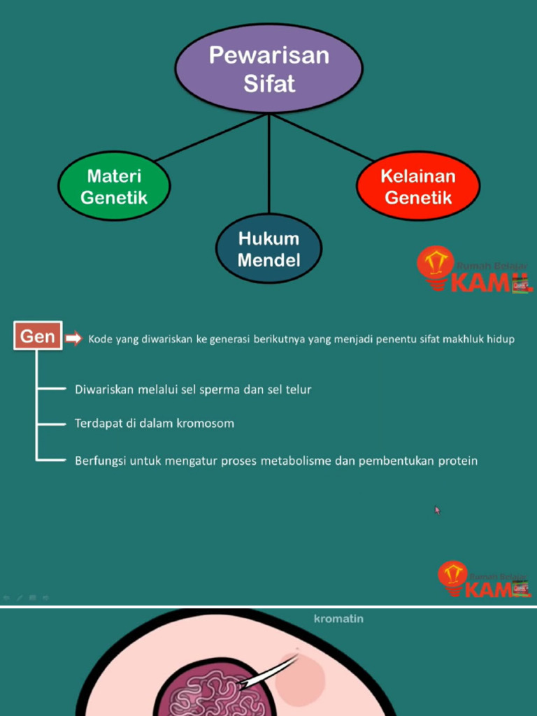 Materi Genetik | PDF