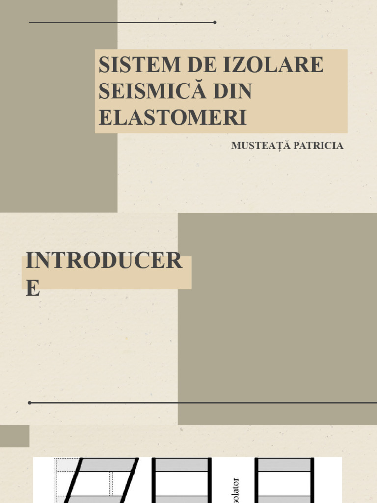Musteata Patricia | PDF