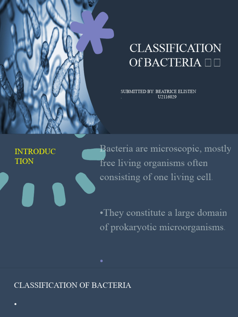 Classification of Bacteria-1 | PDF