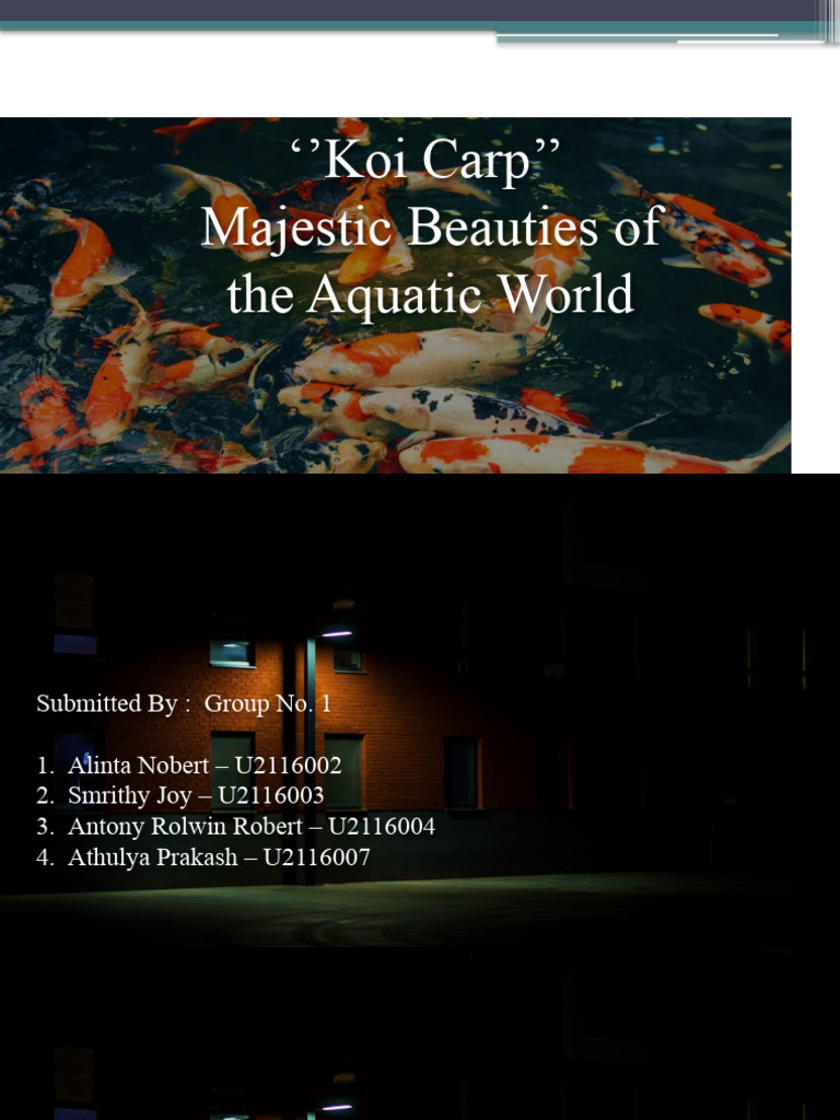 Cyprinus Carpio (Koi Carp) | PDF