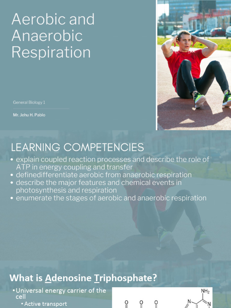 Aerobic Ang Anaerobic Respiration | PDF | Cellular Respiration | Adenosine Triphosphate