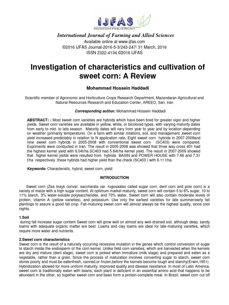 Cultivation of Sweet Corn | PDF | Maize | Agriculture