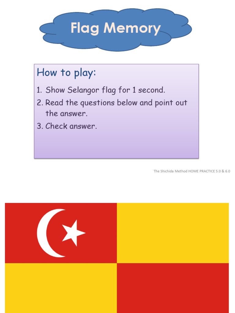 Flag Memory | PDF