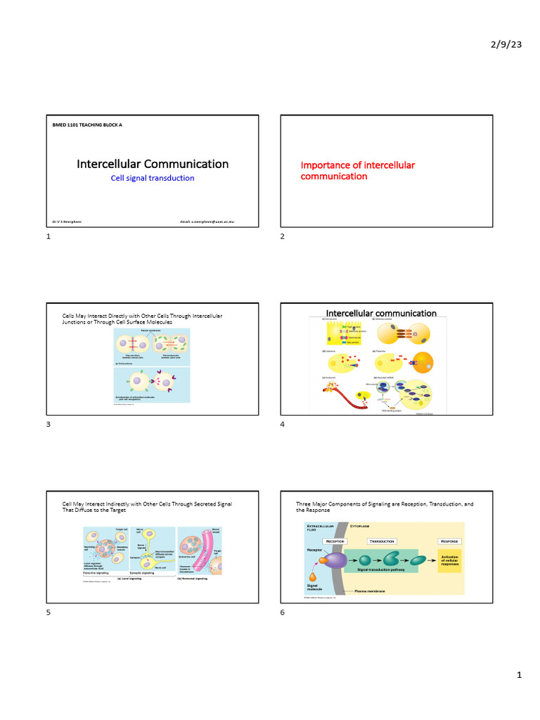 Intercellular Communication Pdf Cell Signaling Signal Transduction