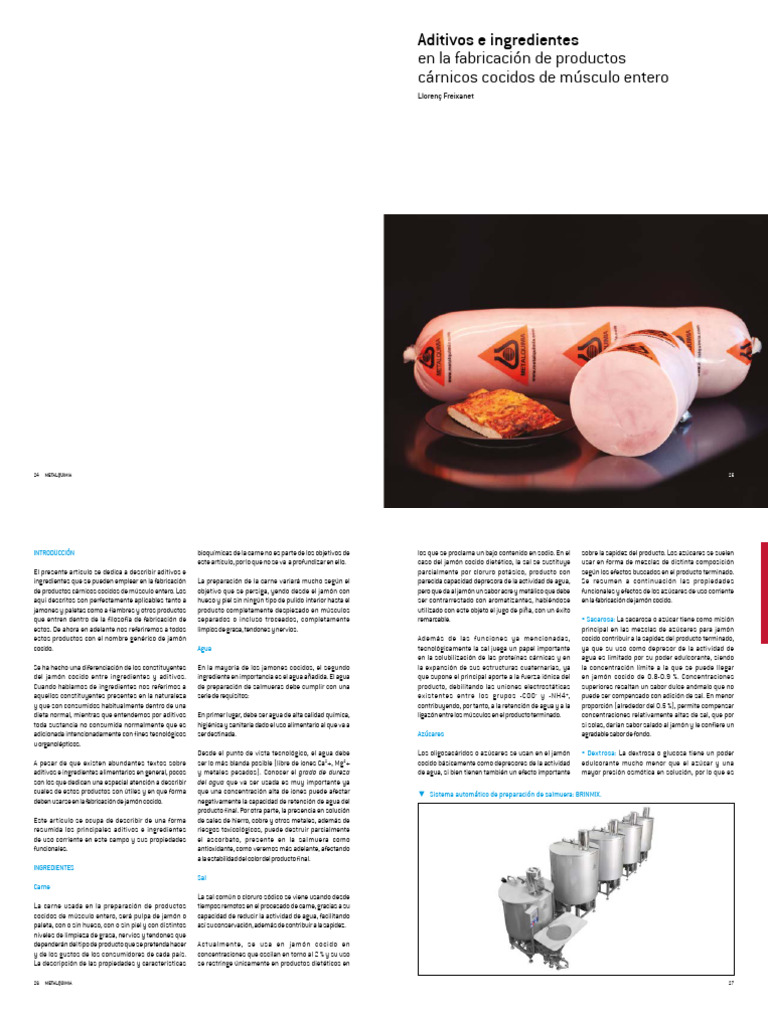 Aditivos e Ingredientes en La Fabricacion de Productos Carnicos | PDF ...