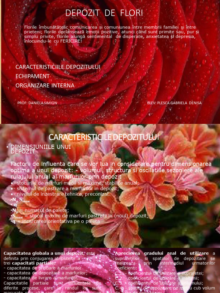 Depozit de Flori: Caracteristiciile Depozitului Echipament Organizare Interna | PDF