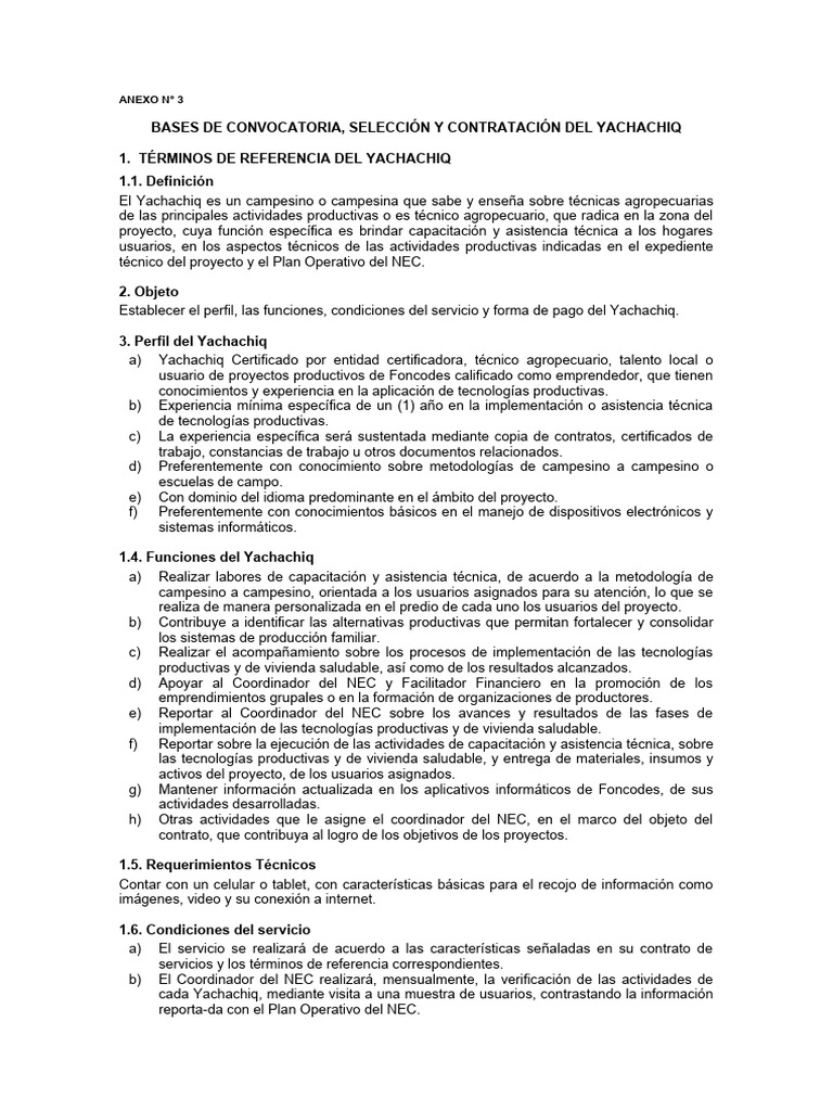 Anexo 3 Base Conv 02-2024 NEC Stgo de Pischa 1 | PDF | Evaluación