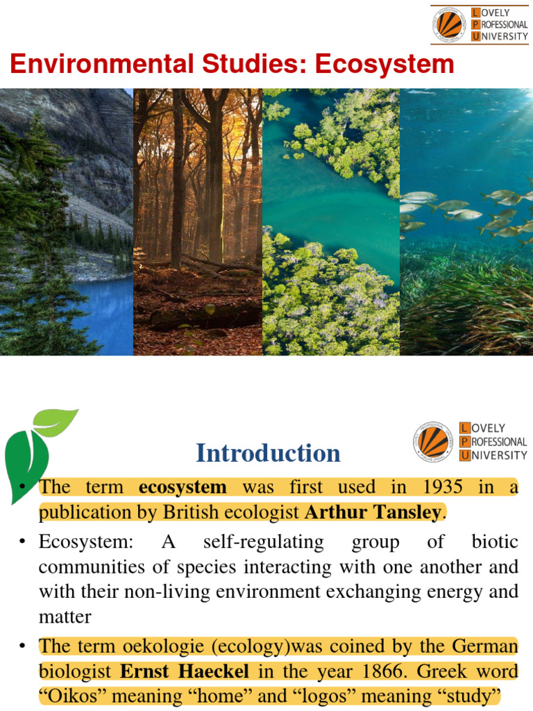 Unit 2 Ecosystem | PDF | Food Web | Ecosystem