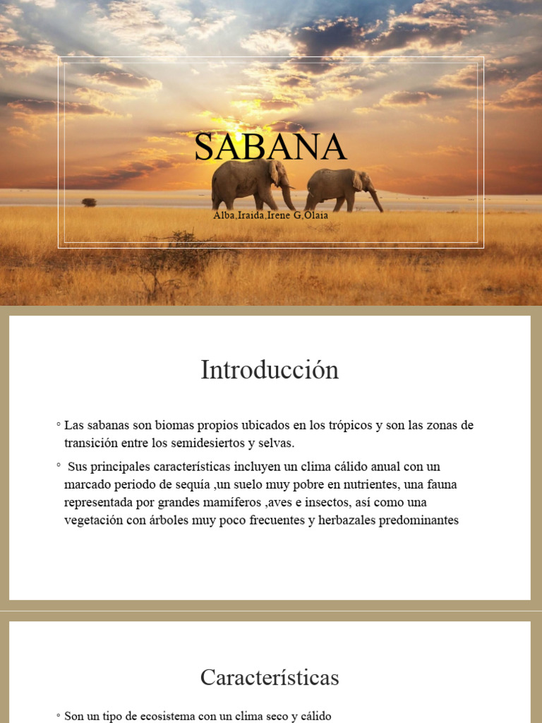 La Sabana (Proyecto de Biología) | PDF | Sabana | Bóvidos