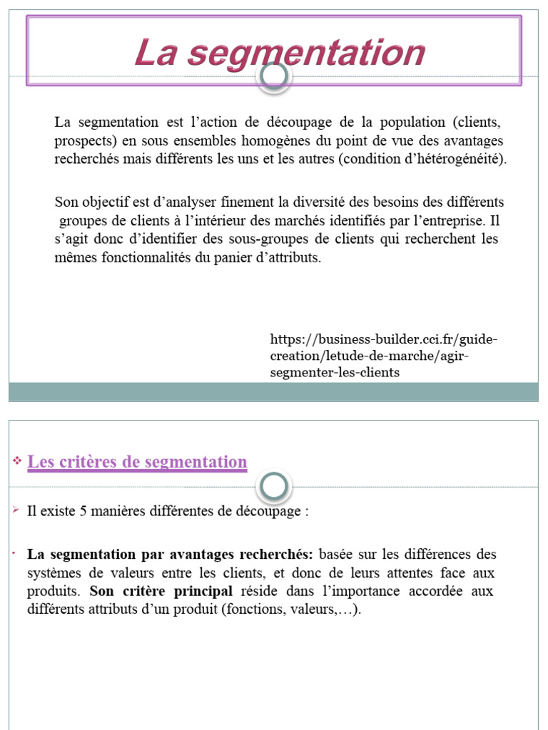 Nelle Segmentation | PDF