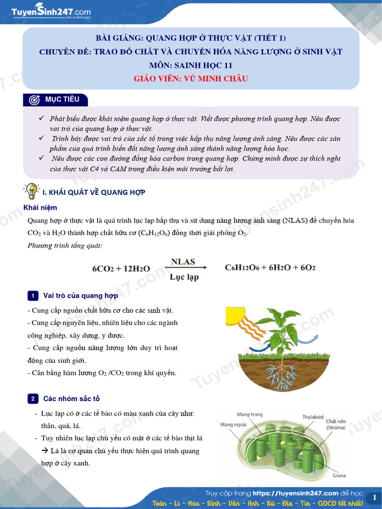 Quang Hop o Thuc Vat Tiet 1 1685590589 | PDF