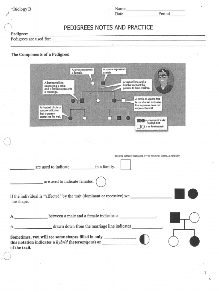 Pedigree Notes and Practice | PDF