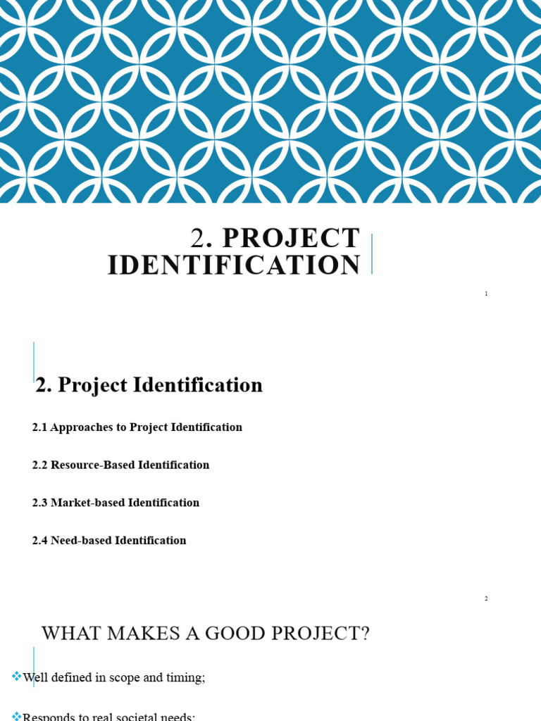 Project Identification | PDF | Swot Analysis | Economies