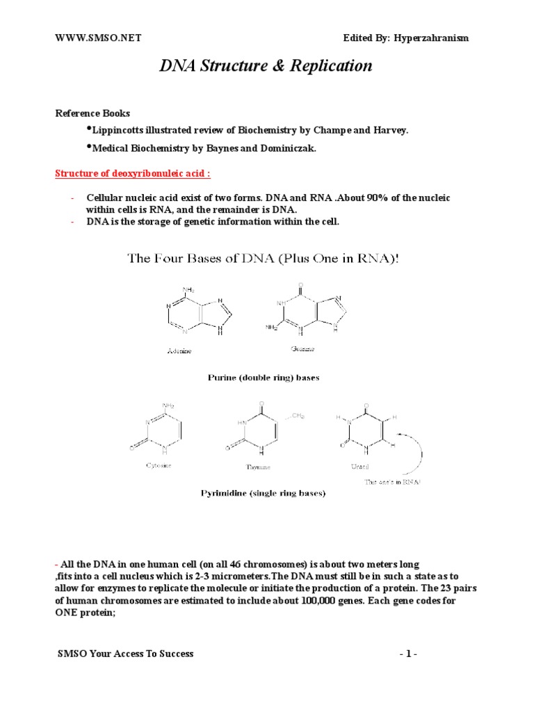 DNA Structure - Replication | PDF | Dna Replication | Rna