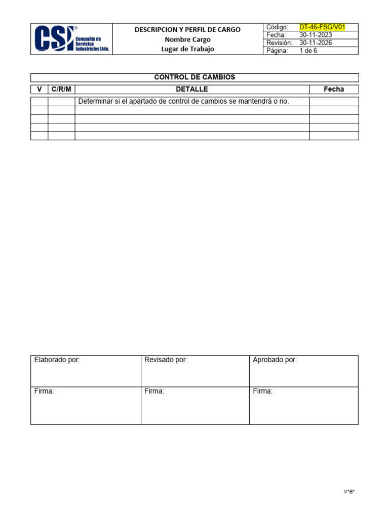 Formato Descriptor de Cargo ISO | PDF | Valores