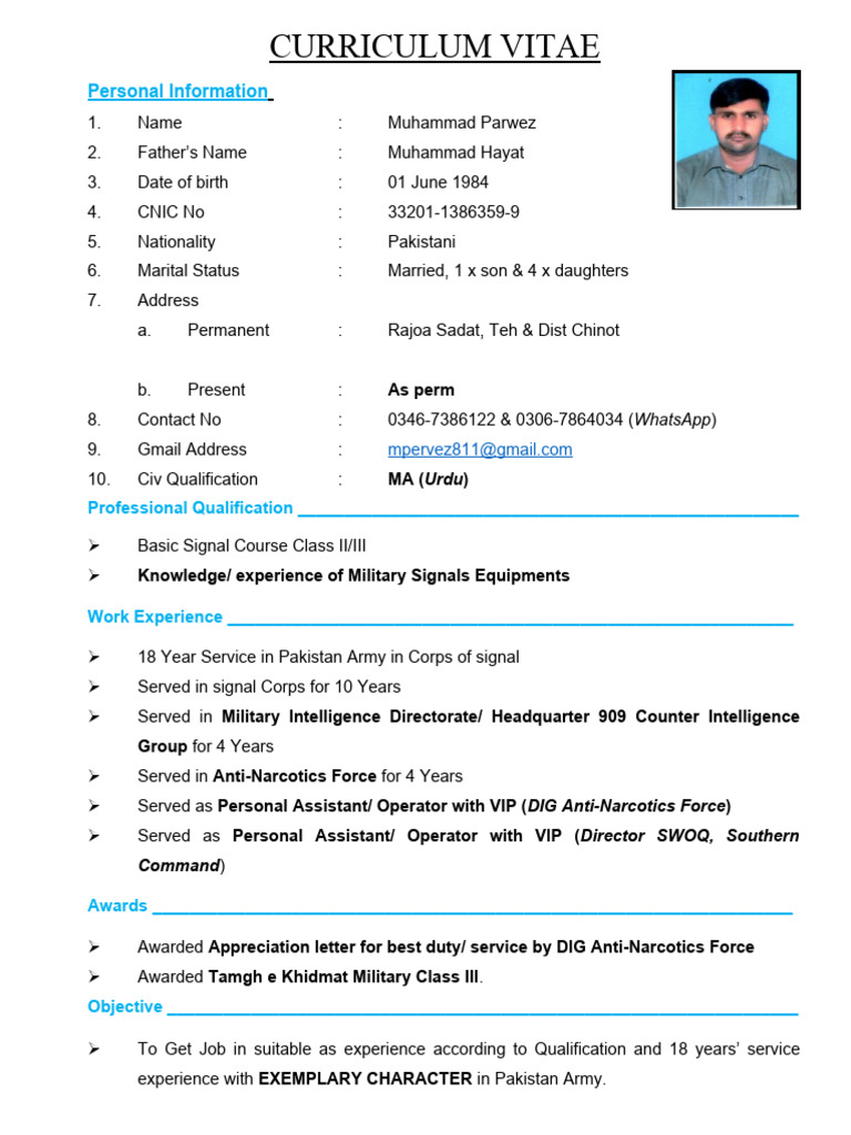 CV Muhammad Perwez | PDF