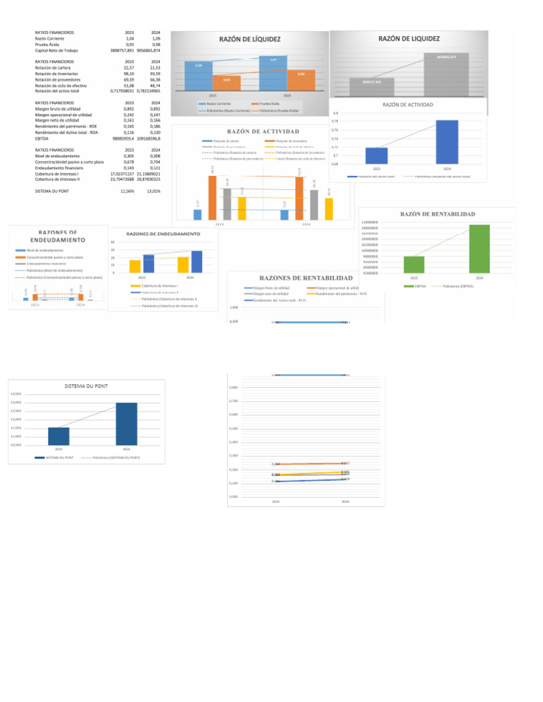 graficos contabilidad | PDF | Contabilidad | Servicios financieros