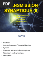 Schéma de la synapse neuro-neuronique | PDF | Synapse | Neurone