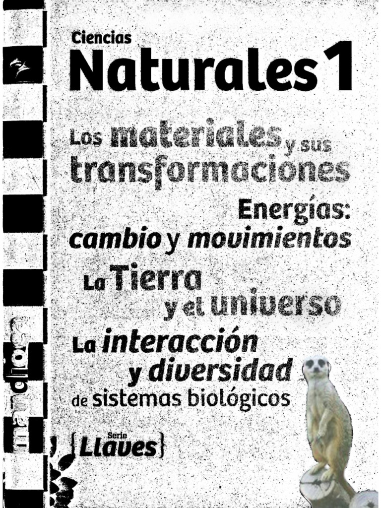 CS Naturales 1° | PDF