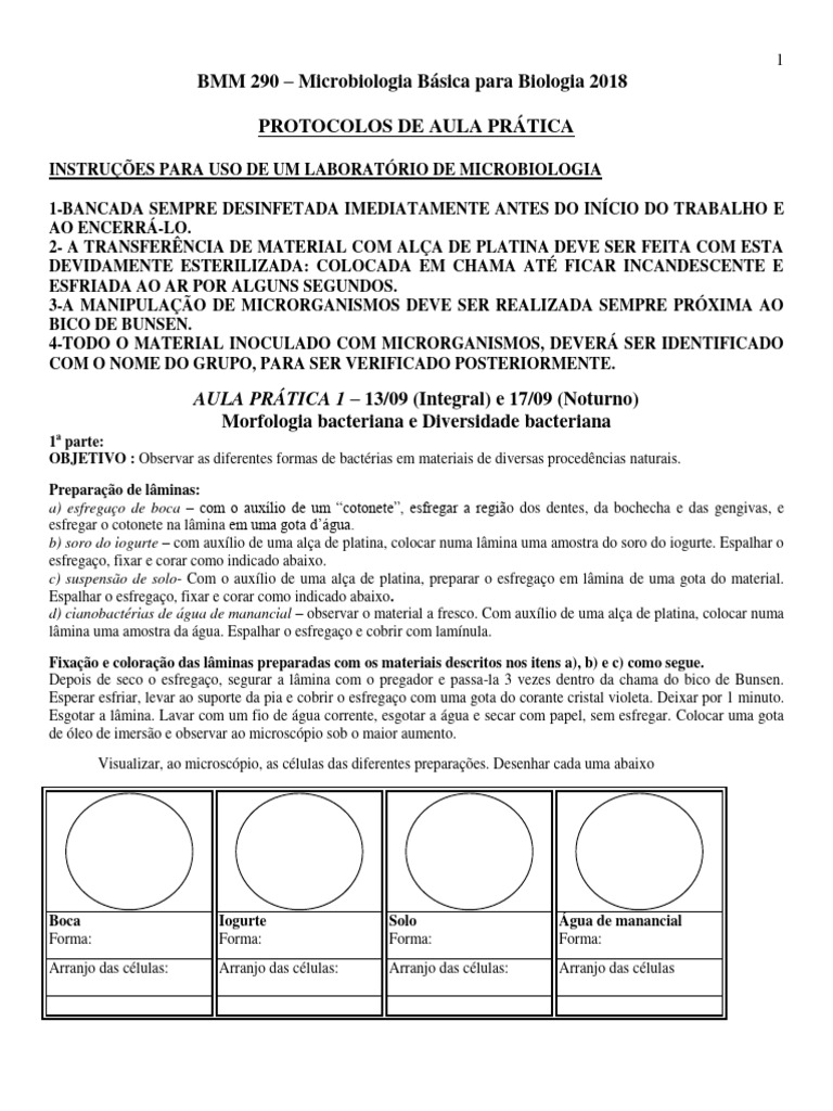 Protocolo Pratico 2018 Pdf ágar Biologia