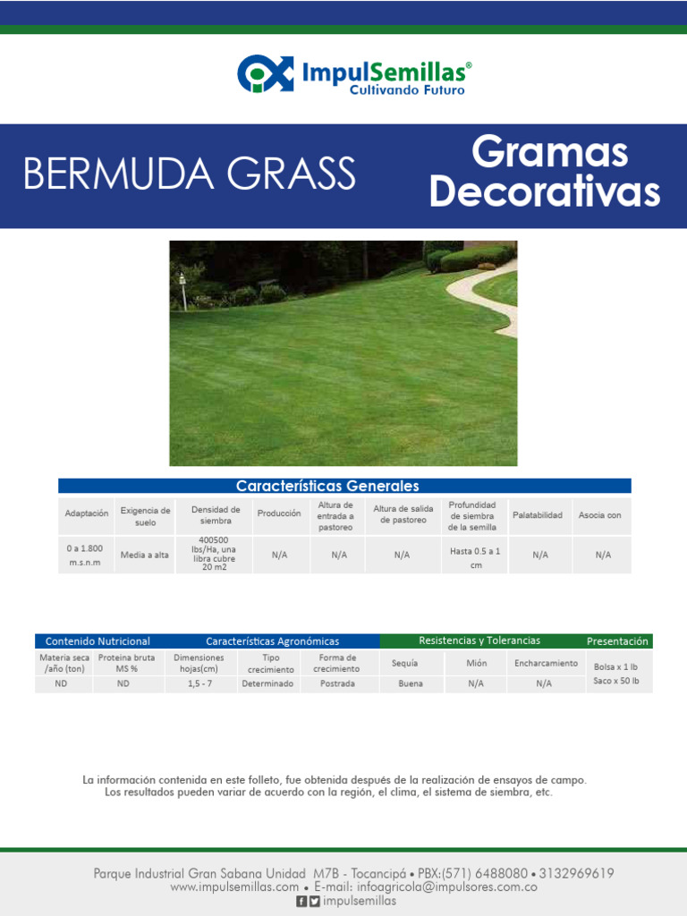 Características del Bermuda Grass | PDF