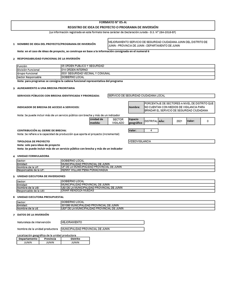 Proyecto de Inversión en Seguridad Junín | PDF | Economias