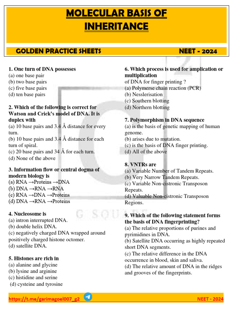 Gold DPP of Mol Bio by Garima Mam | PDF | Rna | Directionality ...